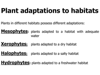 xerophytes.ppt in this ppt you have to study on the adaptive feature of ...