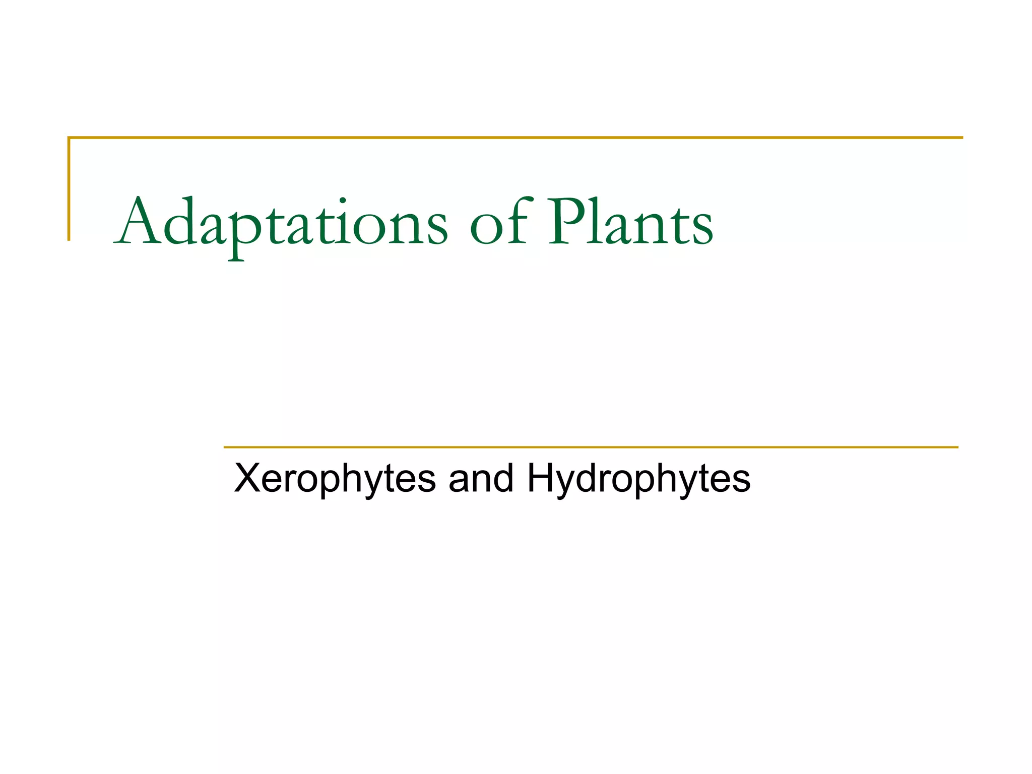 Xerophytes and hydrophytes | PPTX