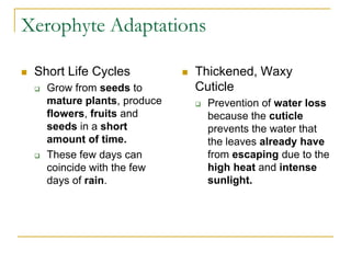 Xerophytes and hydrophytes | PPTX