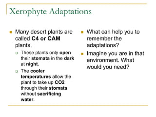 Xerophytes and hydrophytes | PPTX