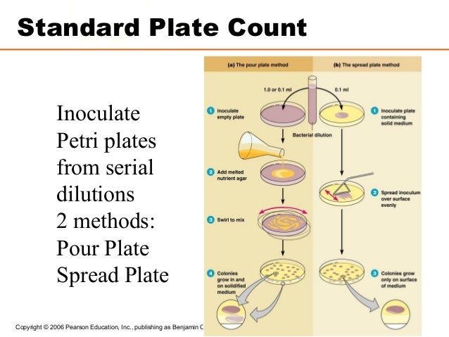 [Micro] growth and culturing of bacteria
