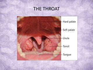 Ent examination for class ii medical examiners | PPTX