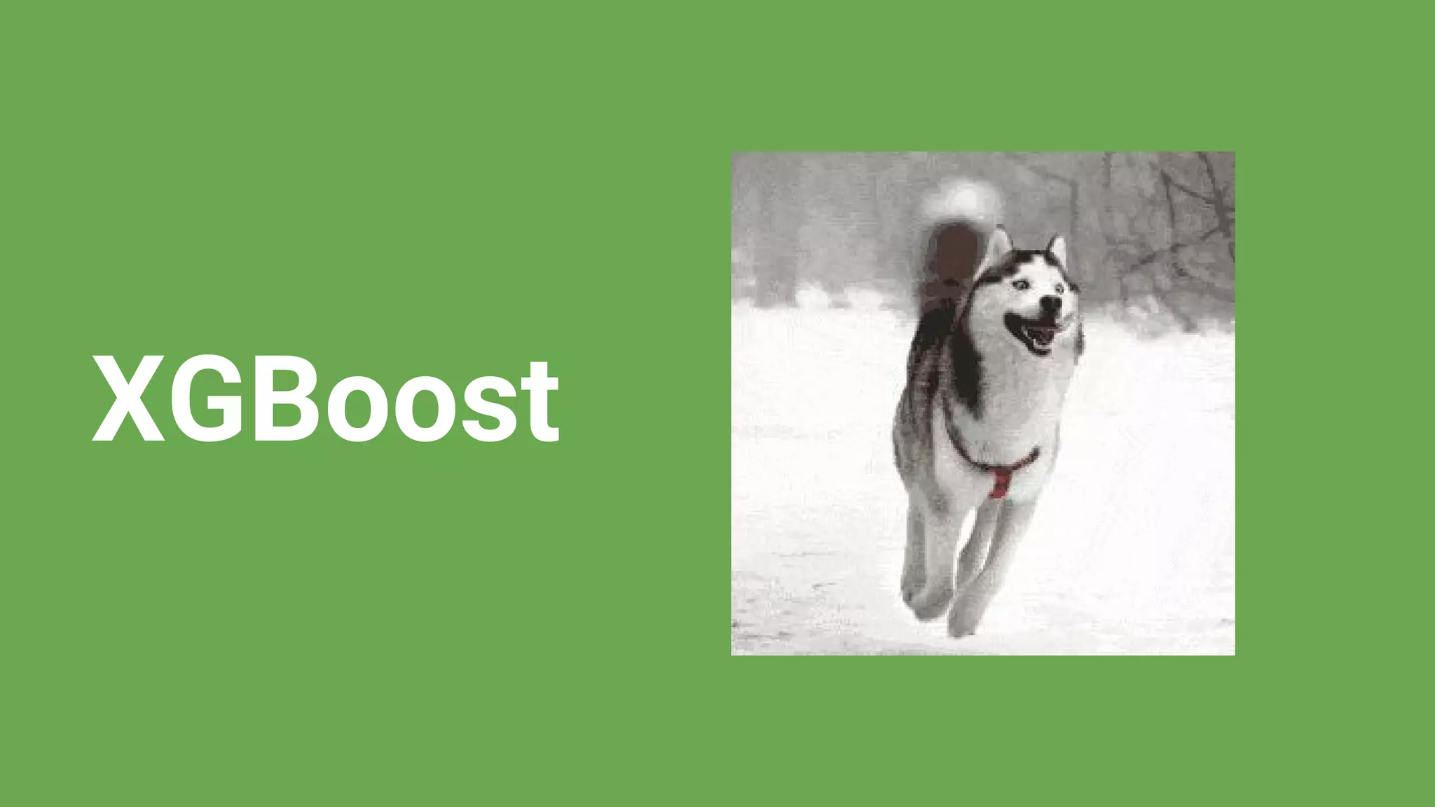 XGBoost & LightGBM | PDF