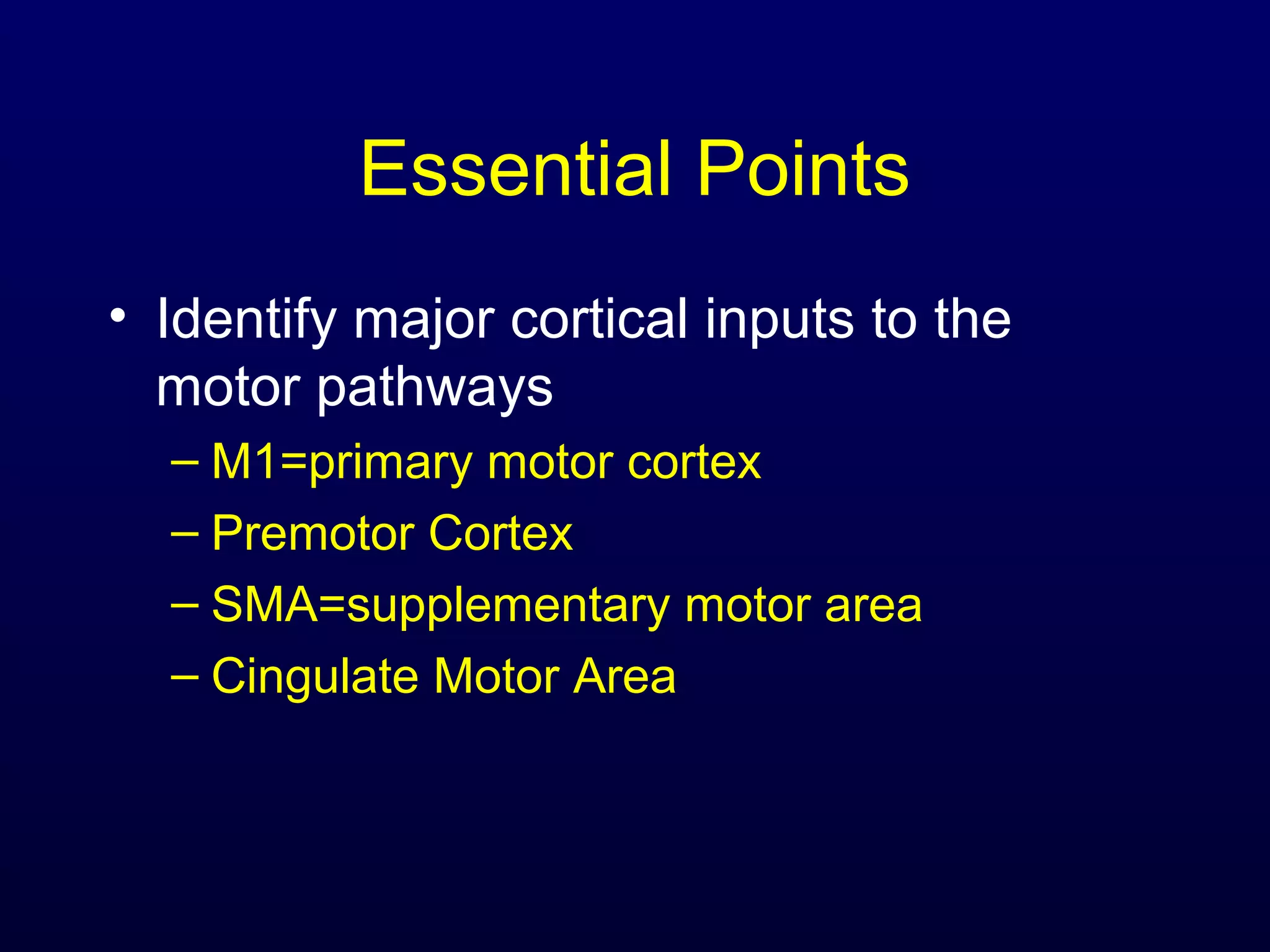 Anatomy of Motor system2 | PPT