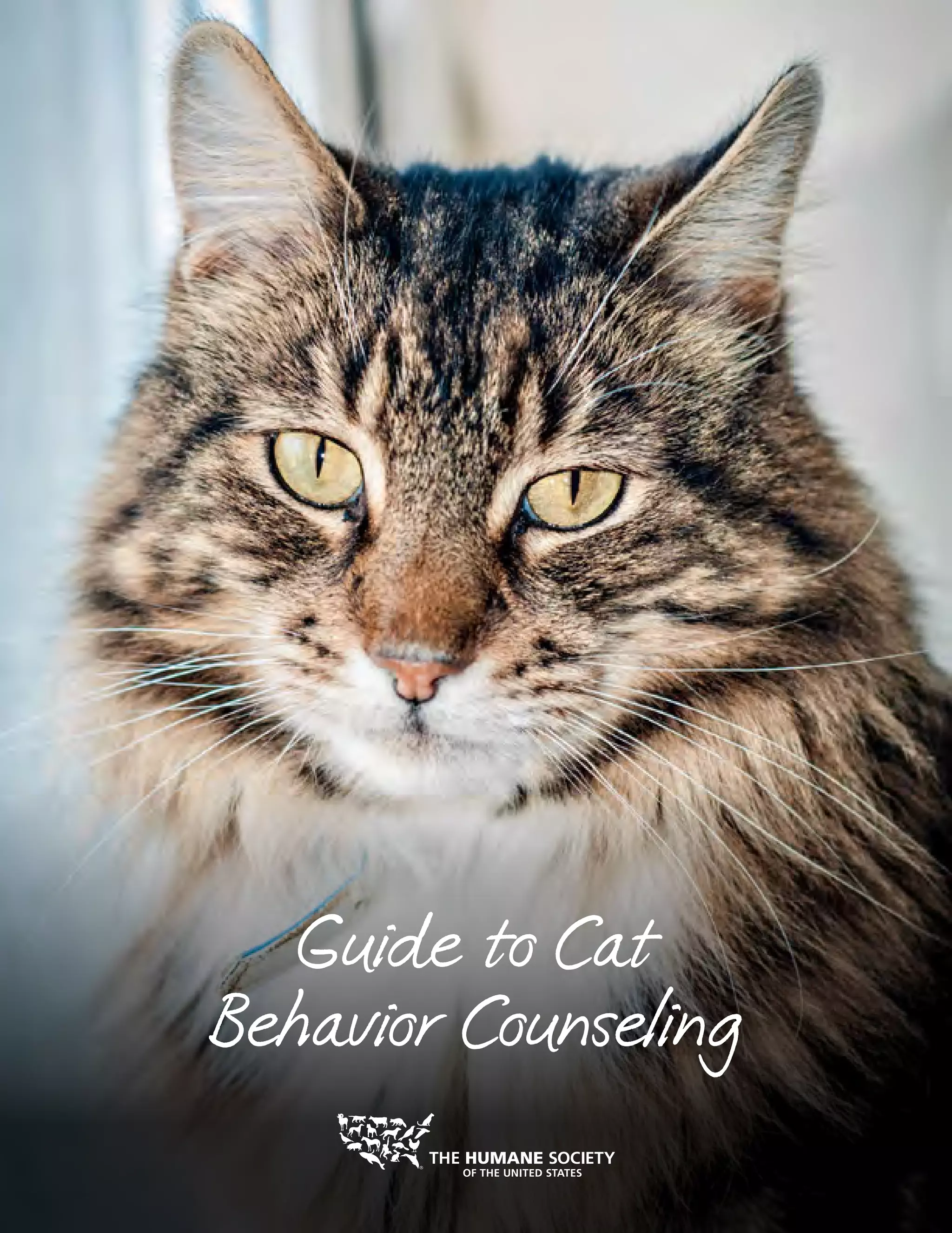 Guide to-cat-behavior-counseling | PDF