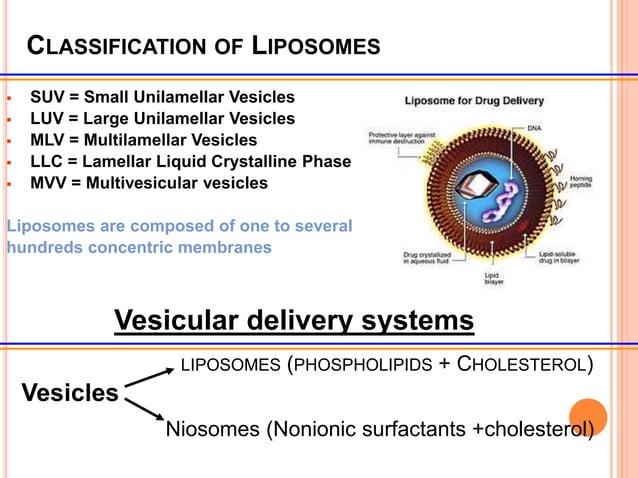 Monolayer , planer bilayer and liposomes as model | PPTX