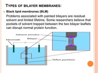 Monolayer , planer bilayer and liposomes as model | PPTX