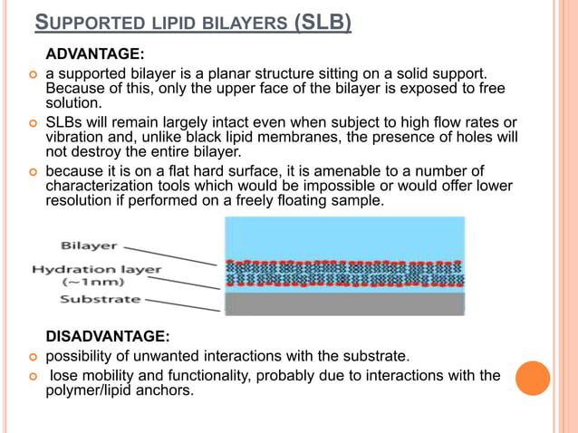 Monolayer , planer bilayer and liposomes as model | PPTX