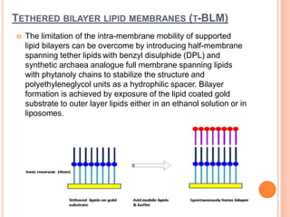 Monolayer , planer bilayer and liposomes as model | PPTX