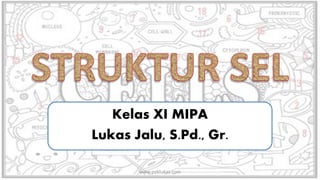 komponen sel biologi kelas xi ipa , sel. | PPT