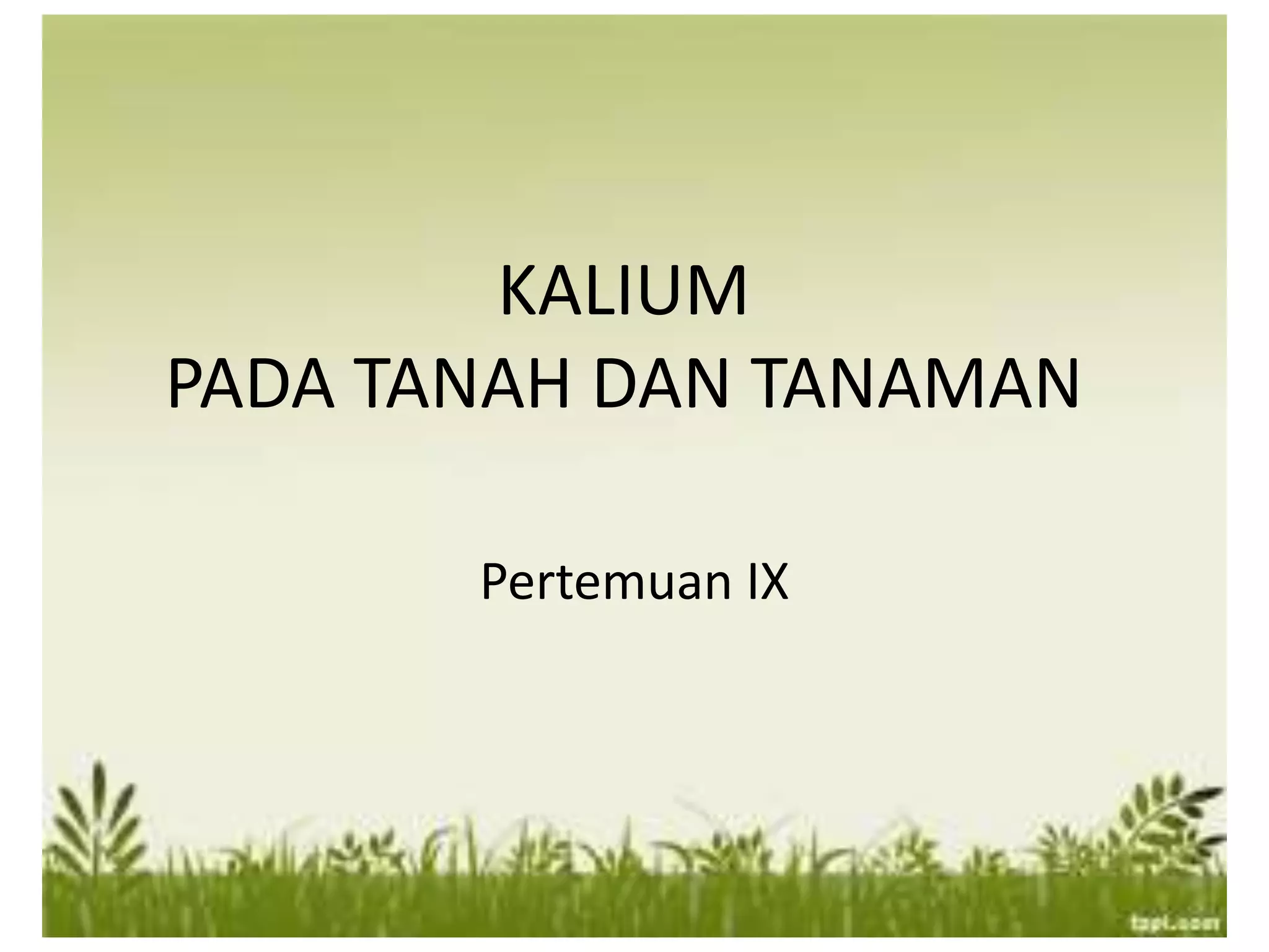 Kalium (nutrisi tanaman) | PPTX