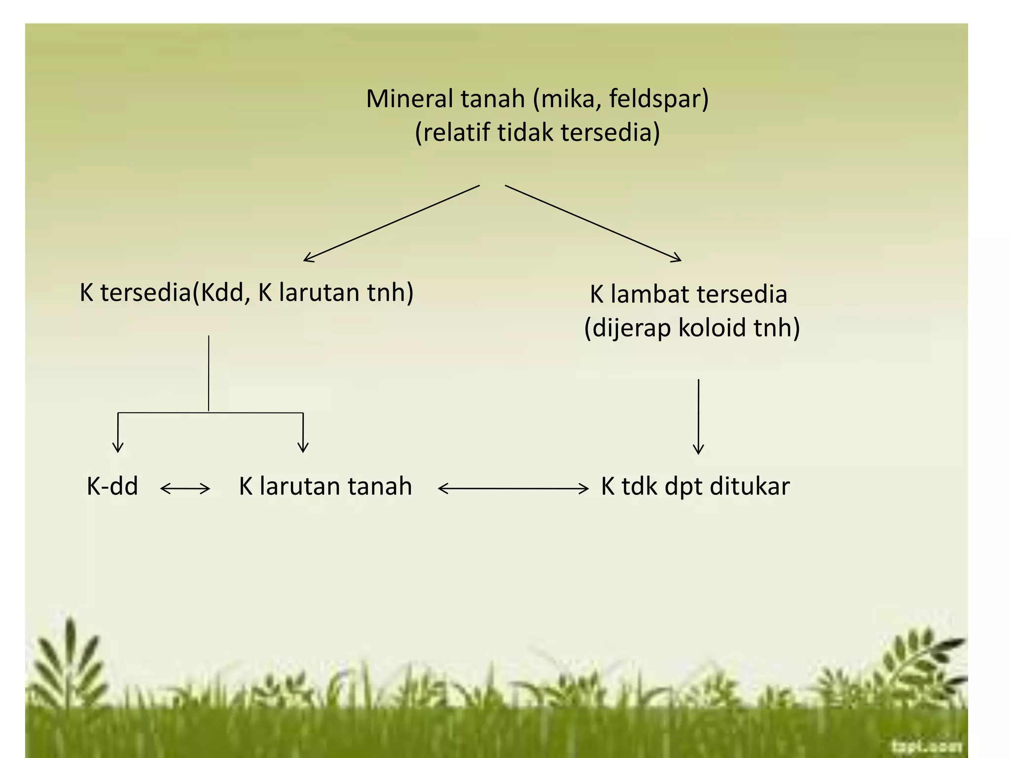 Kalium (nutrisi tanaman) | PPTX