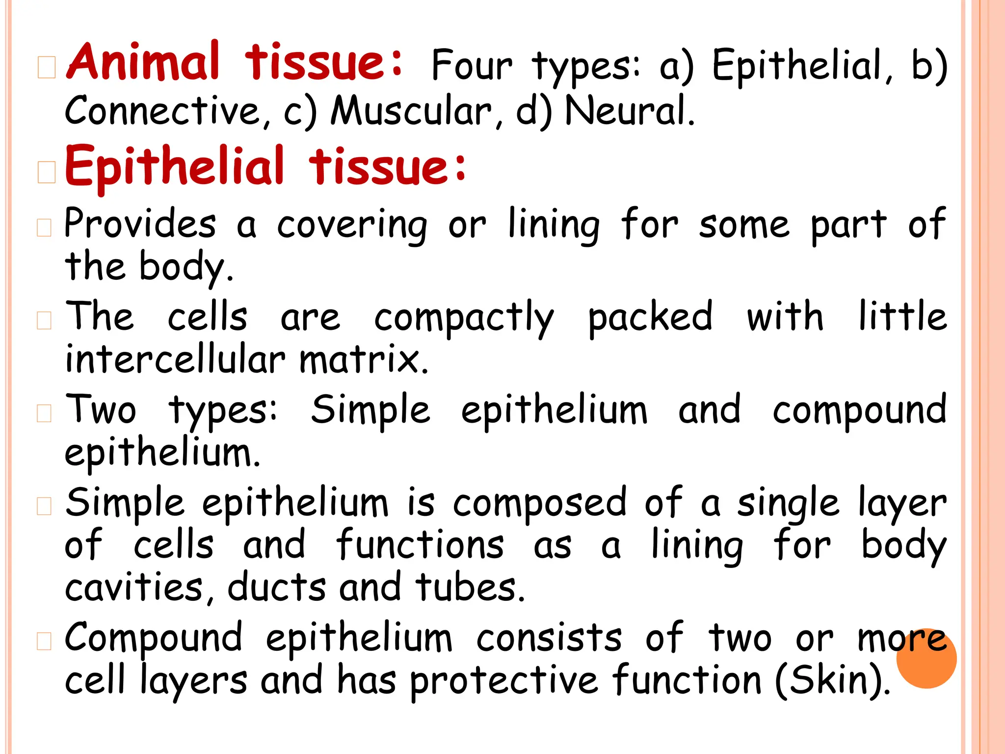 xi-7-structural-organisation-in-animals.ppt