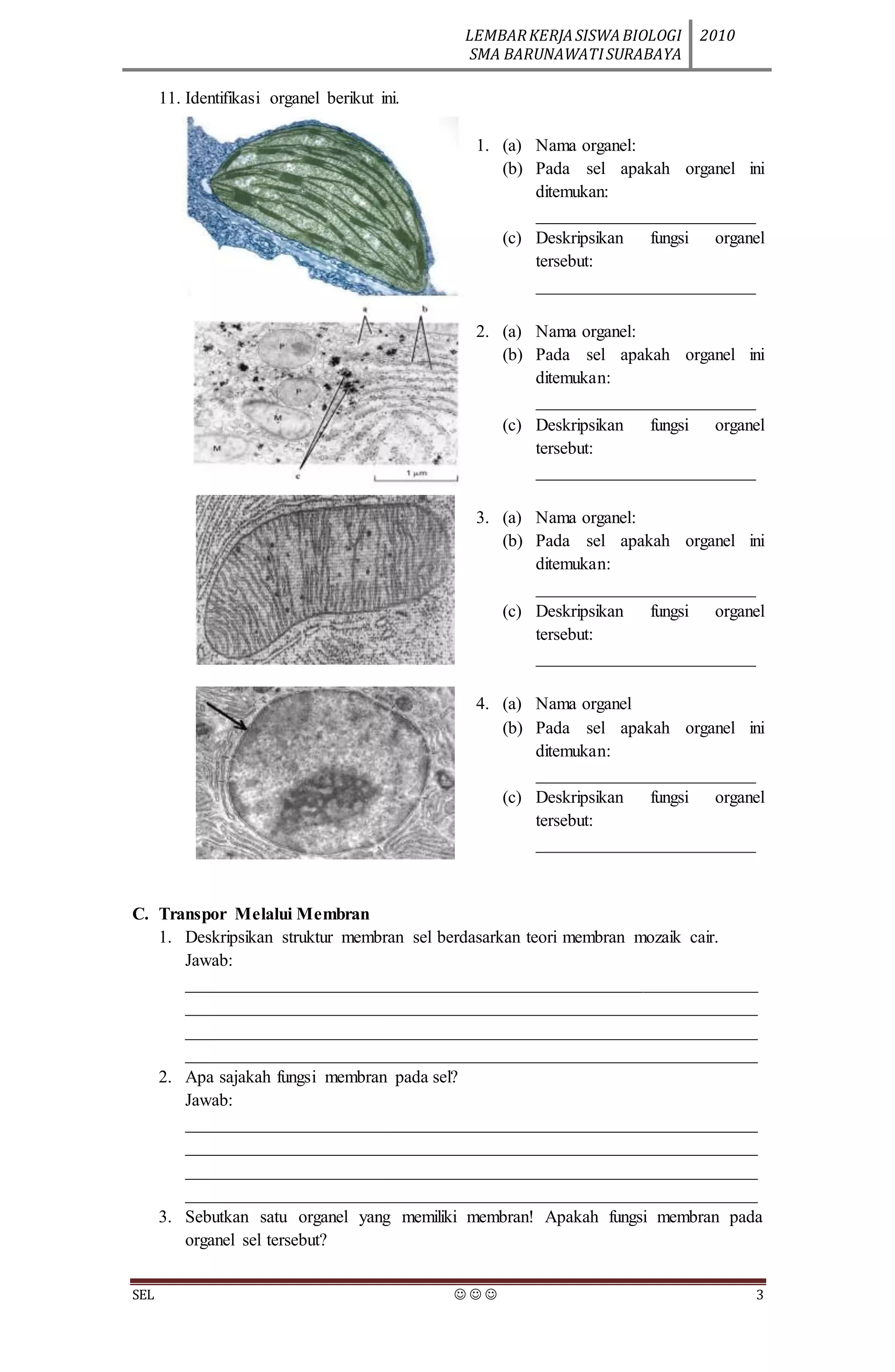 Xi ipa-lks-1-sel-1279870706-phpapp01 | DOCX