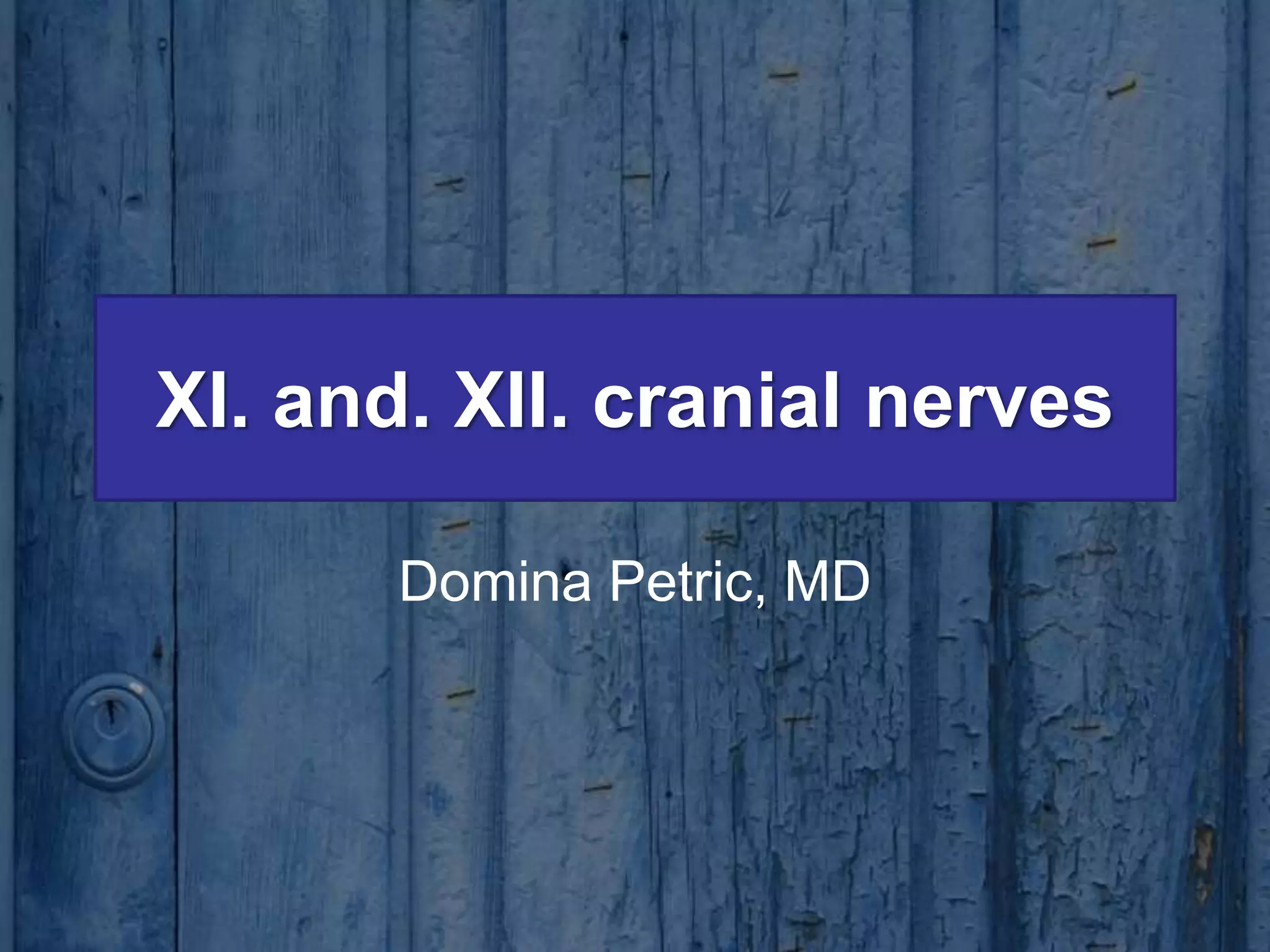 XI and XII cranial nerves | PPSX