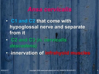 XI and XII cranial nerves | PPSX