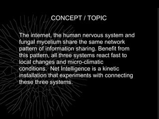 Xian z netintelligence_final | PPT