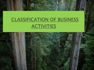 Xi b.s structure | PPTX