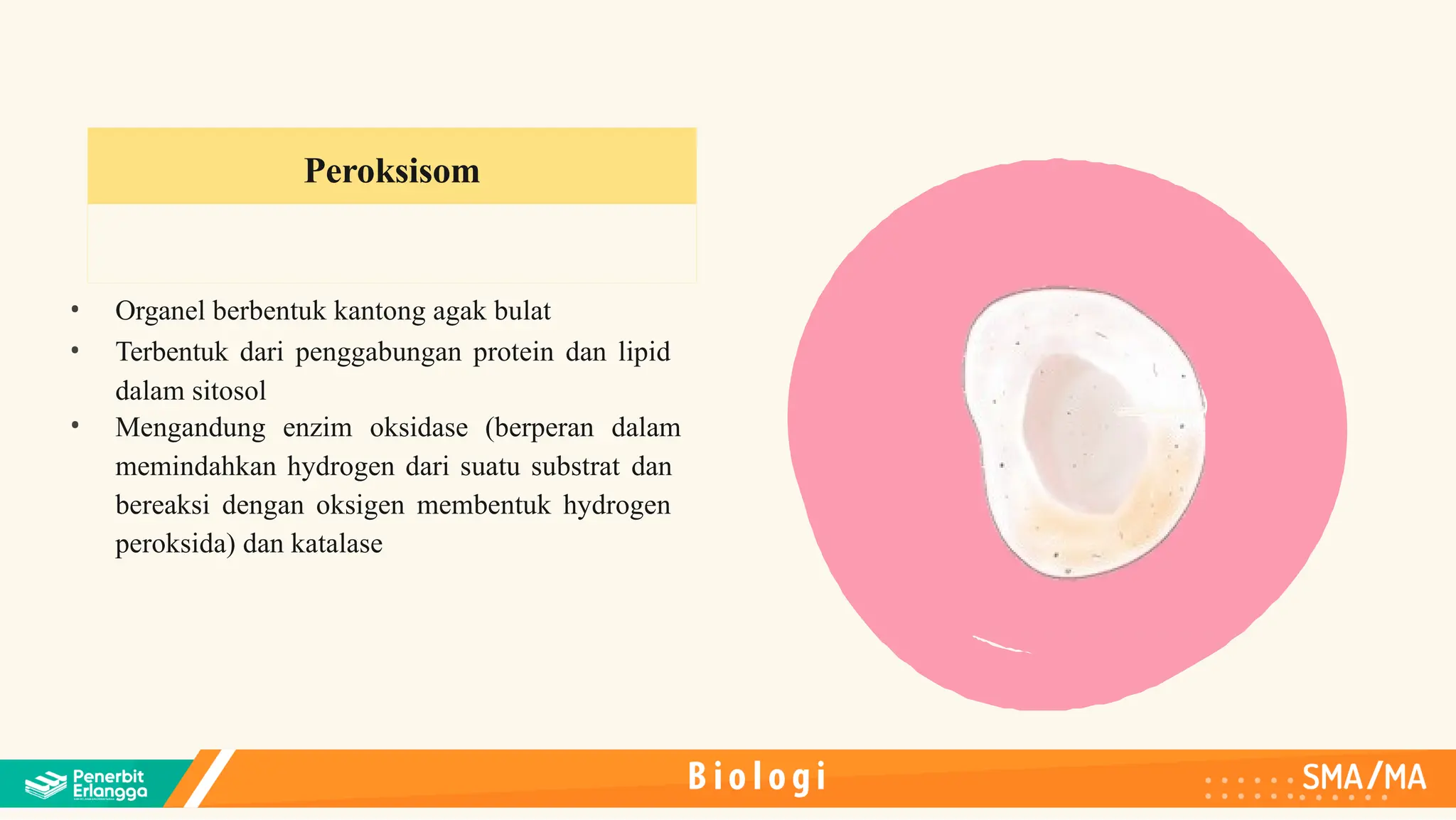 MATERI SEL KELAS XI FASE F KURIKULUM MERDEKA | PPTX