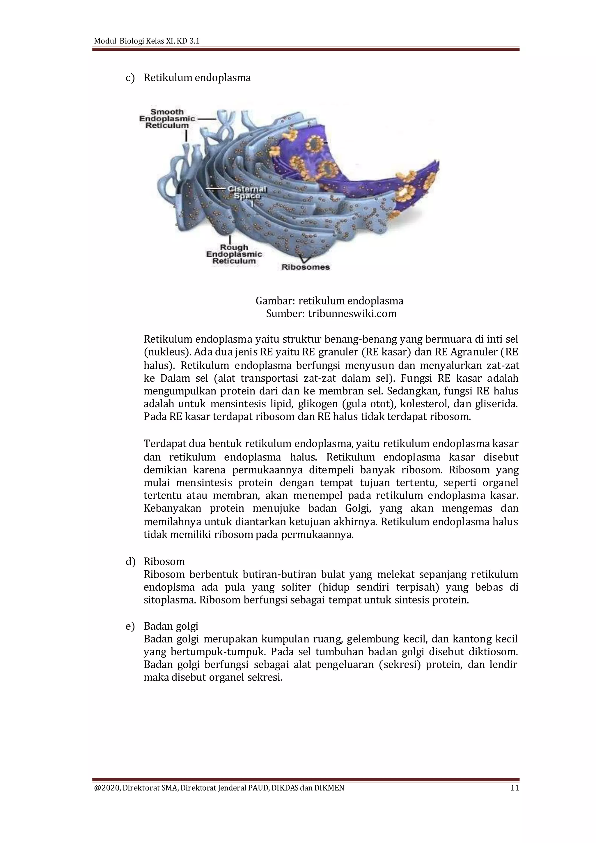 Xi biologi kd-3.1_final | DOCX