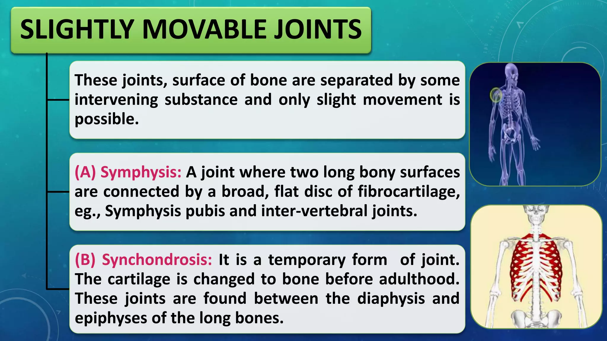 XI Fundamentals of Anatomy, Physiology in Sports.pptx