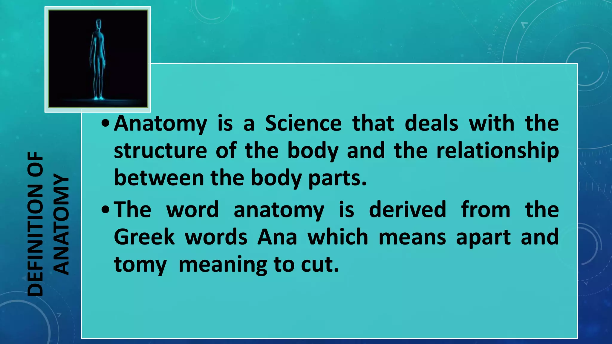 XI Fundamentals of Anatomy, Physiology in Sports.pptx