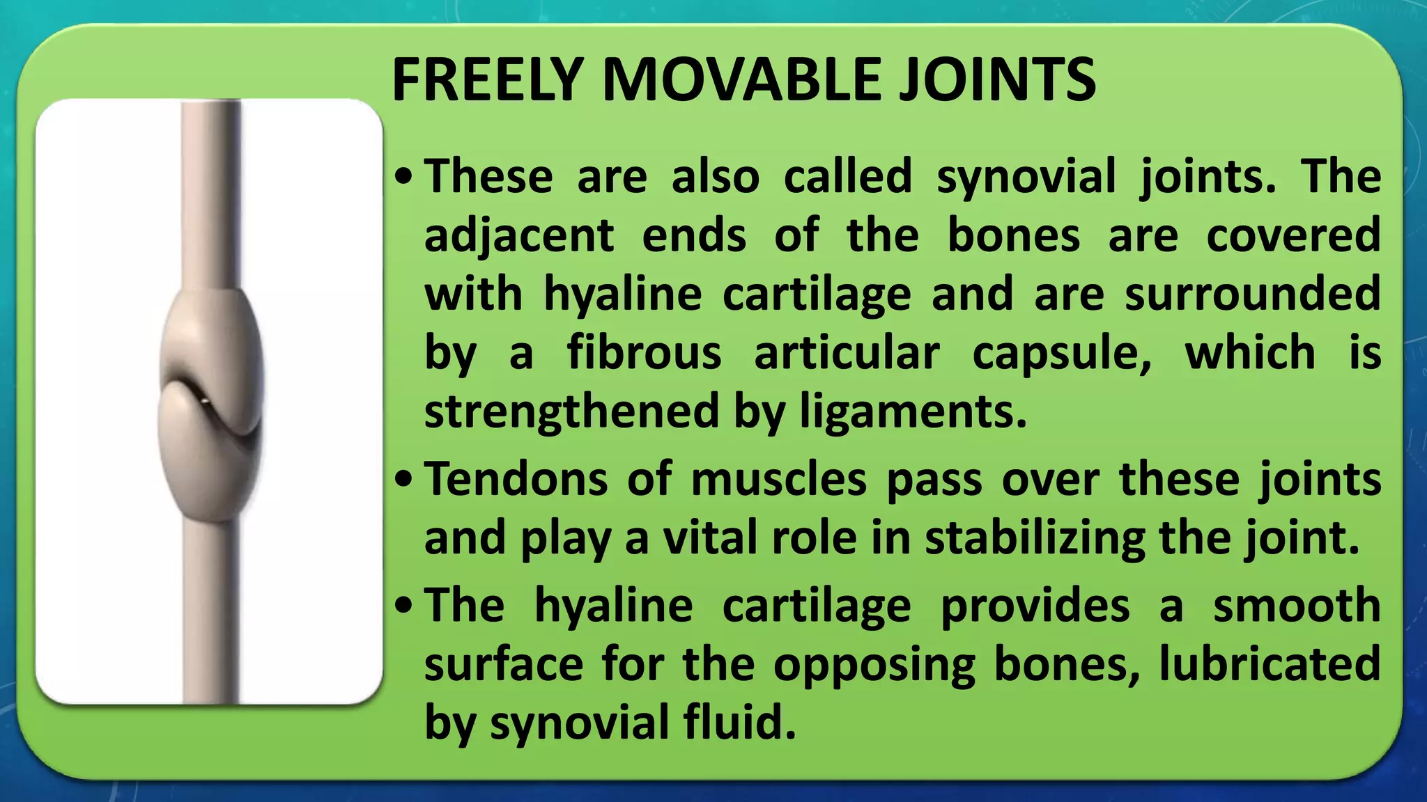 XI Fundamentals of Anatomy, Physiology in Sports.pptx
