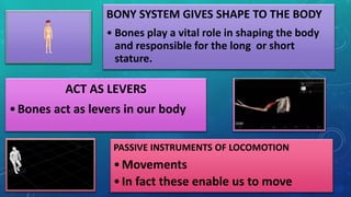 XI Fundamentals of Anatomy, Physiology in Sports.pptx