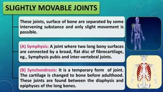 XI Fundamentals of Anatomy, Physiology in Sports.pptx