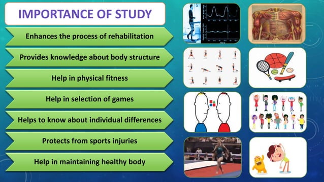 XI Fundamentals of Anatomy, Physiology in Sports.pptx