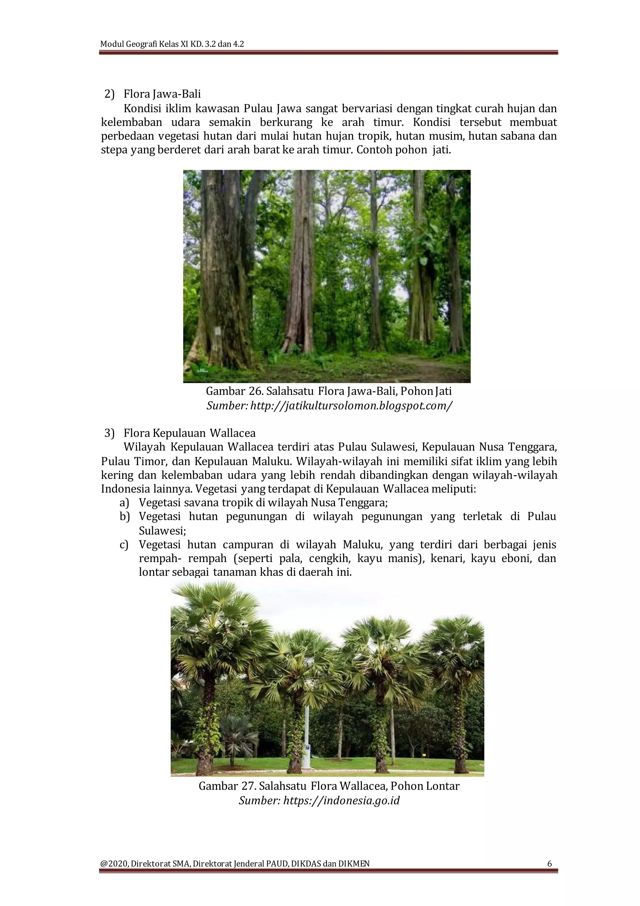 Xi geografi kd 3.2_persebaran, konservasi, pemanfaatan flora dan fauna ...