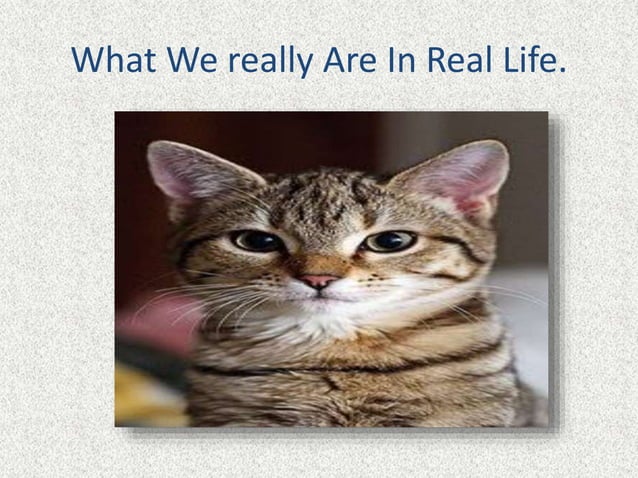 How Social Media Shapes our identity | PPT