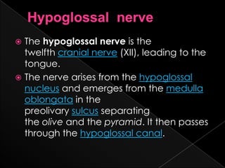 hypoglossal nerve palsy | PPTX