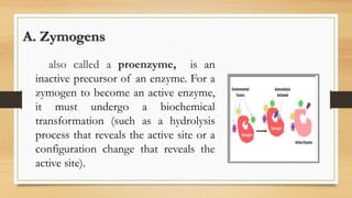 XII. Control of Enxyme Activity.pptx