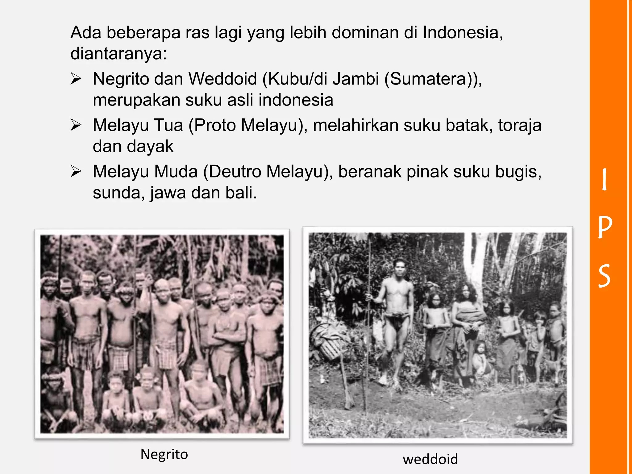 masyarakat multikultural di Indonesia | PPTX