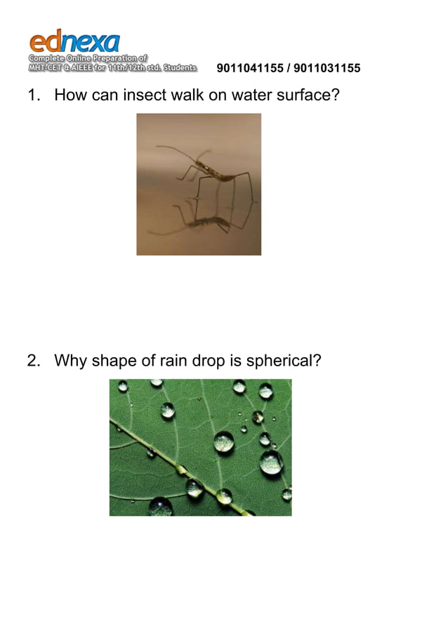 Understanding Surface Tension Part 1 - 12th Physics | PDF