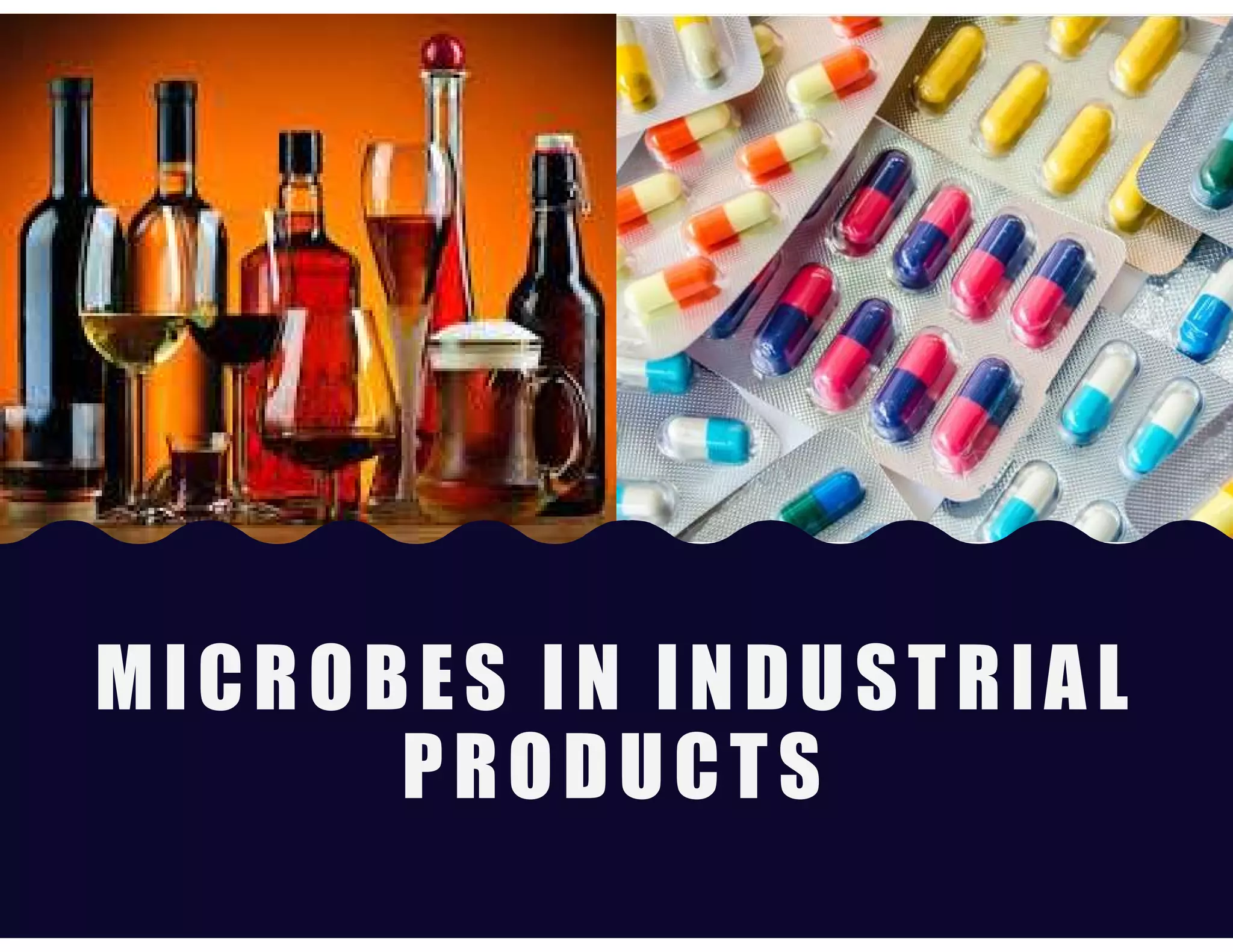 XII bio microbes in human welfare complete | PDF