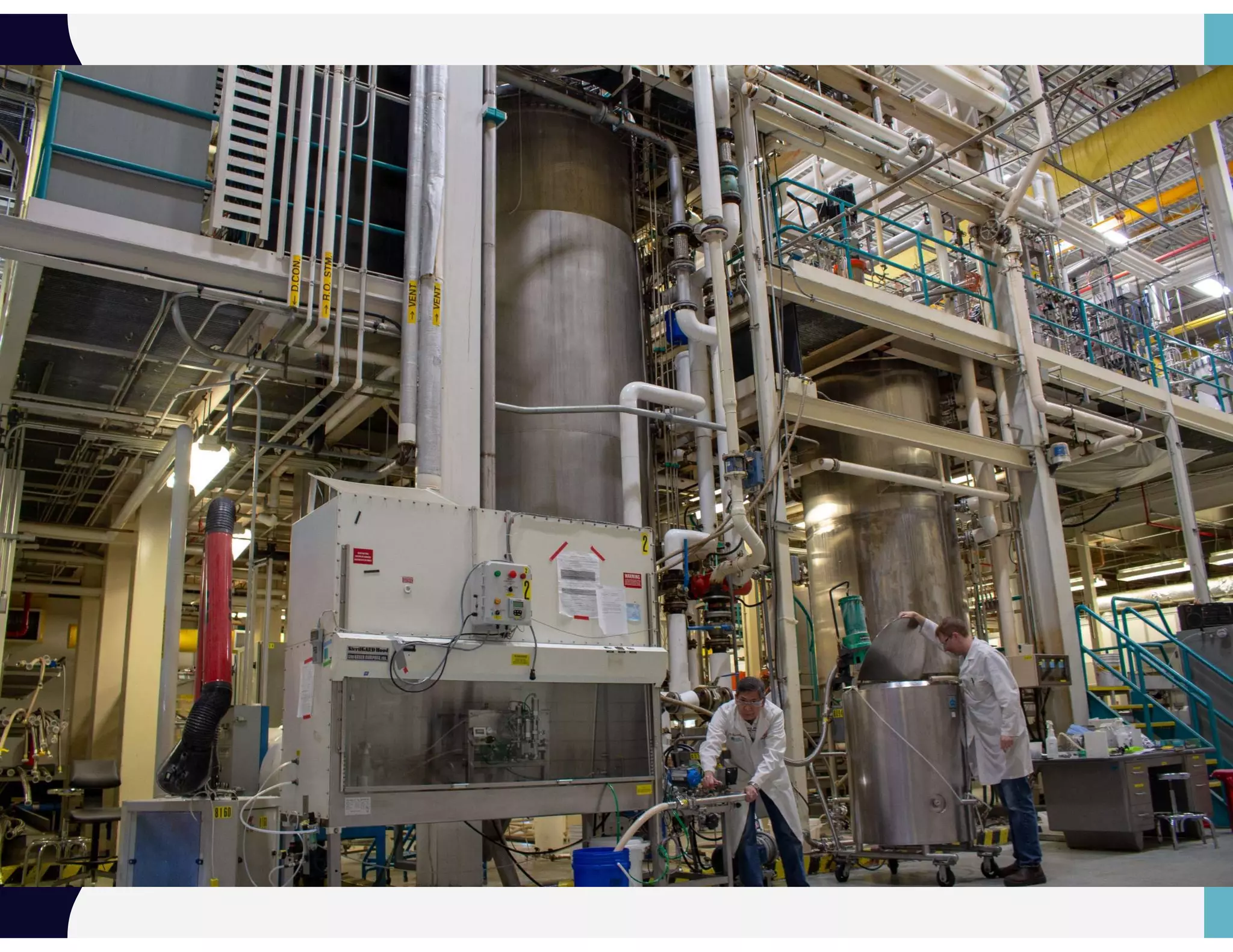 XII bio microbes in human welfare complete | PDF