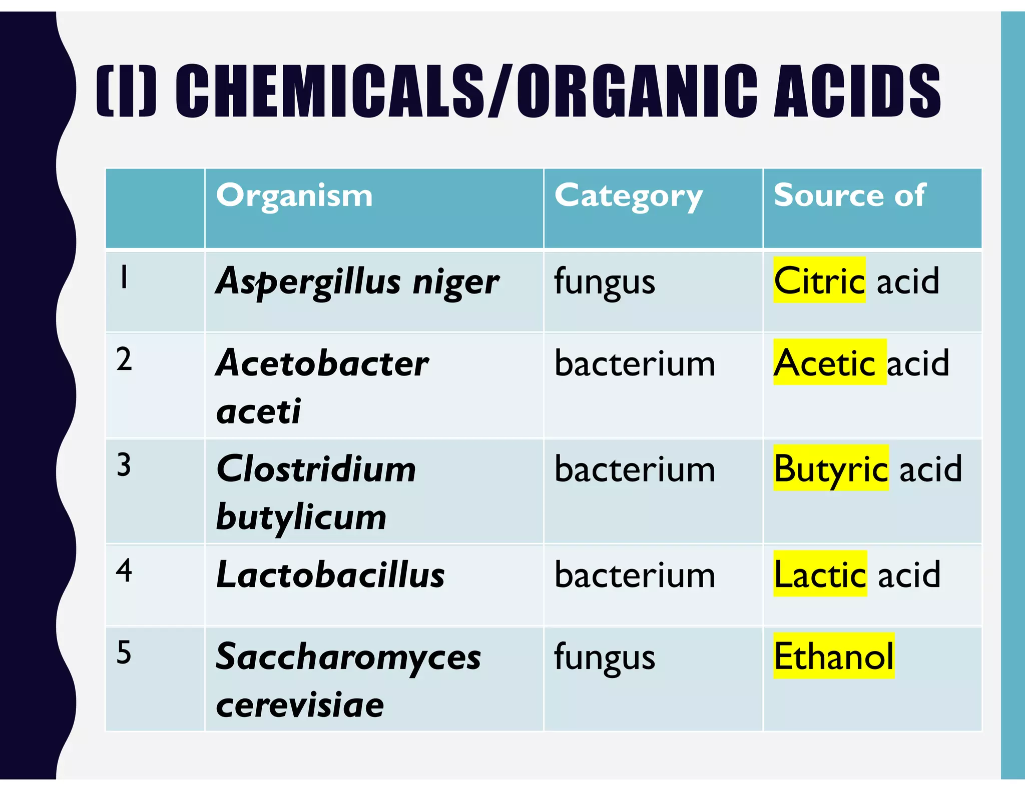 XII bio microbes in human welfare complete | PDF