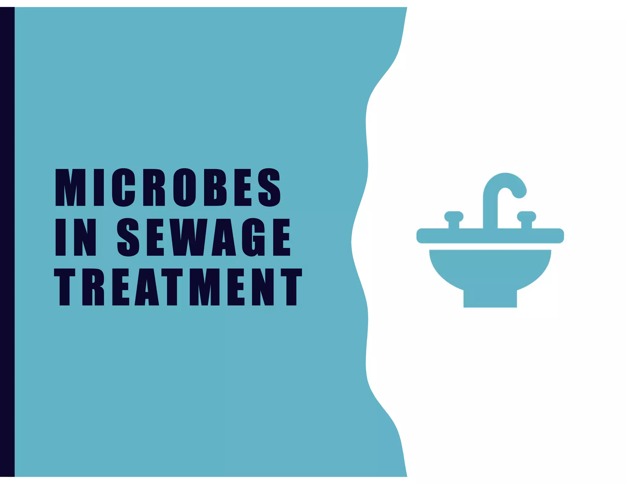 XII bio microbes in human welfare complete | PDF