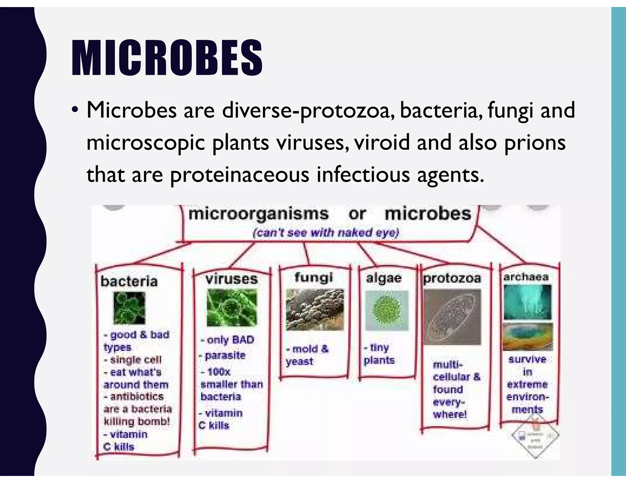 XII bio microbes in human welfare complete | PDF
