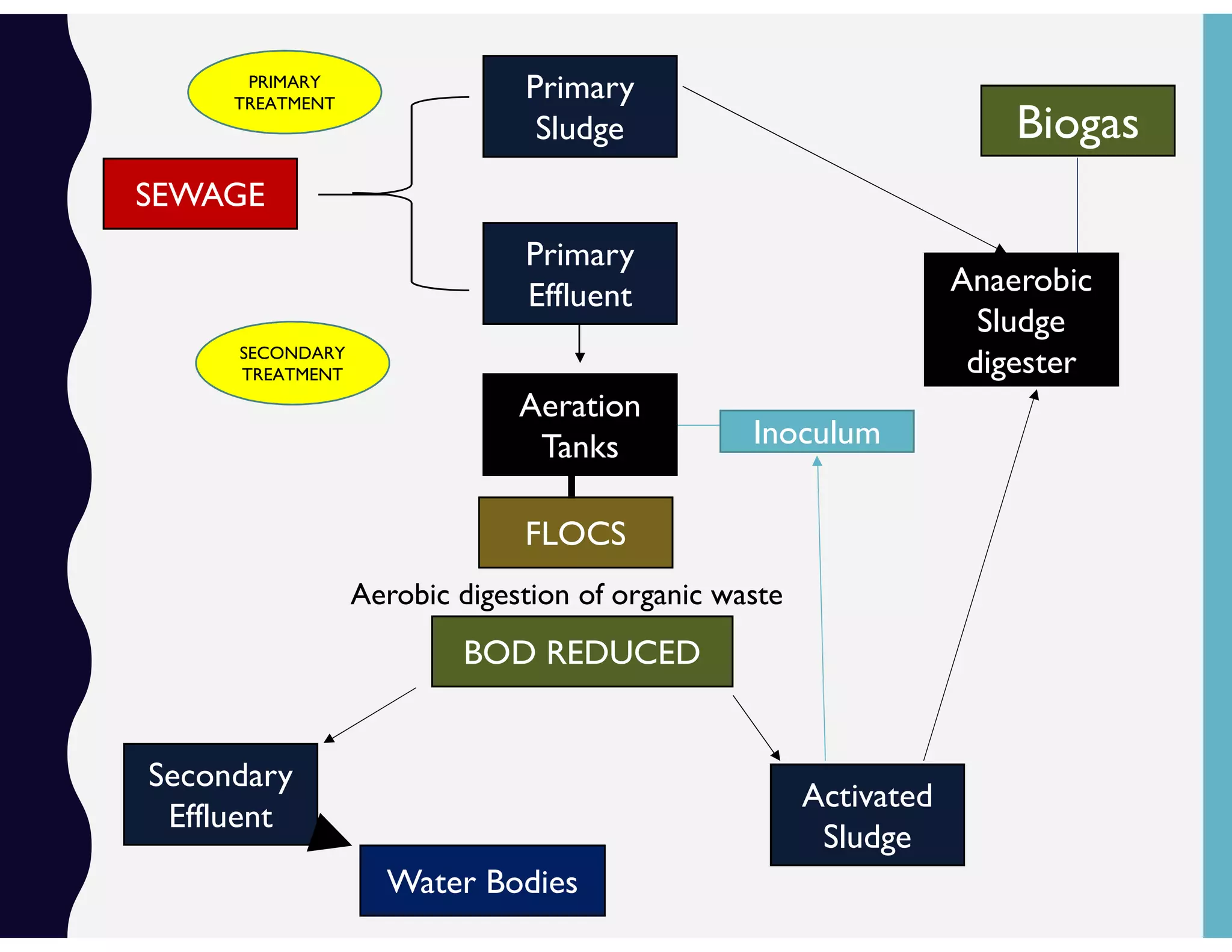 XII bio microbes in human welfare complete | PDF