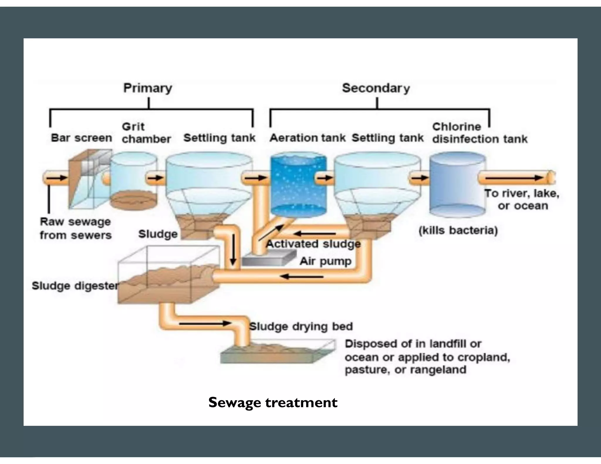 XII bio microbes in human welfare complete | PDF