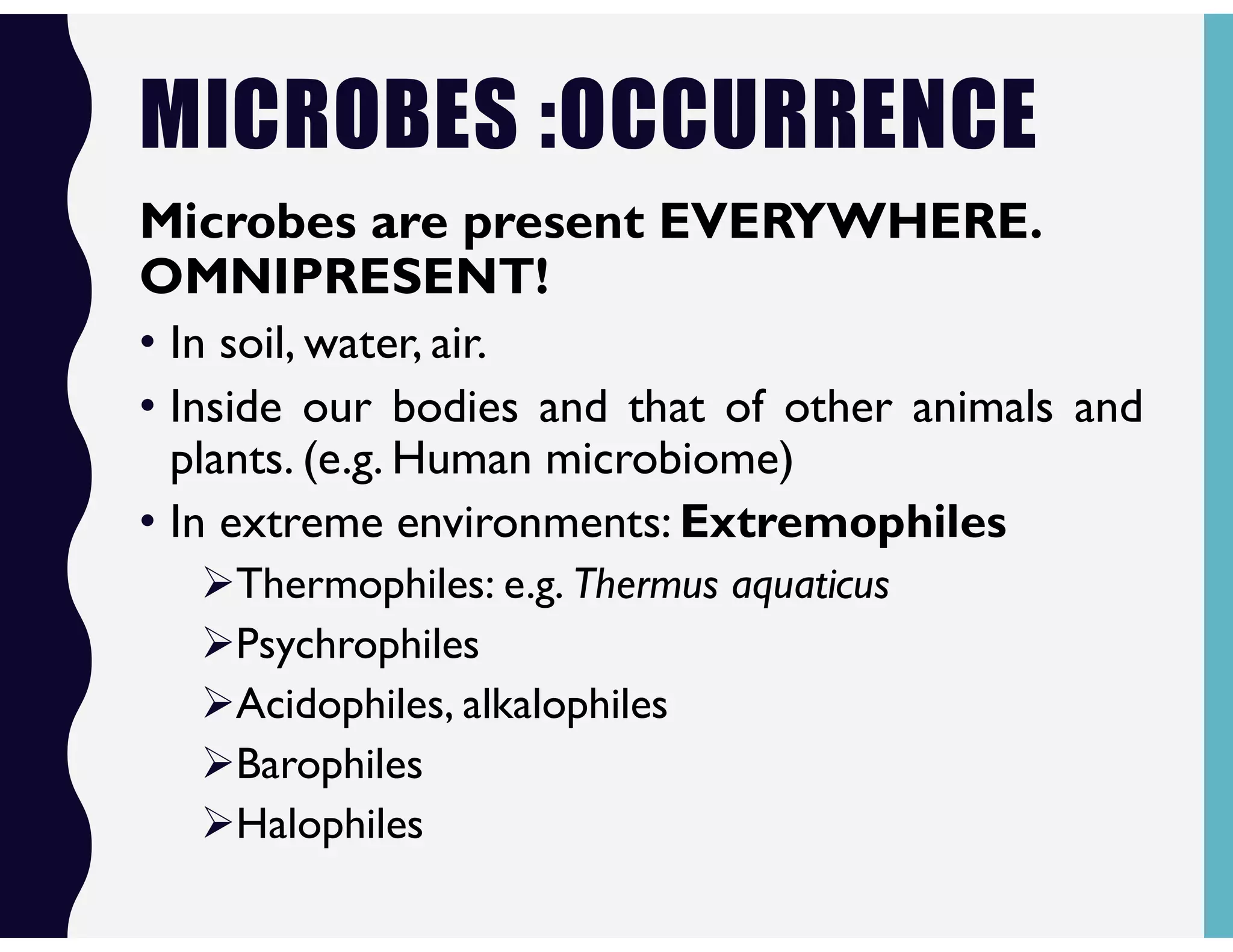 XII bio microbes in human welfare complete | PDF