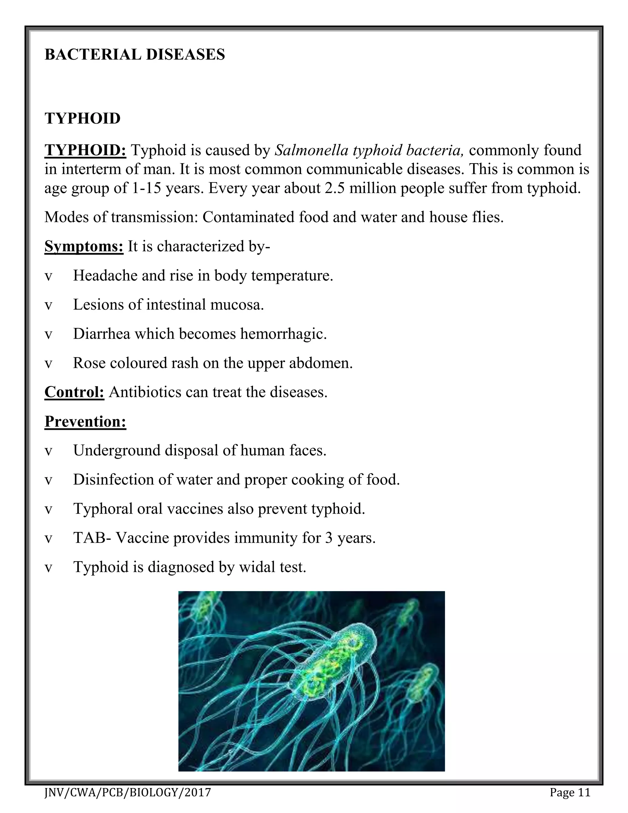 Xii biology project on common desease in human & causes and remedies | PDF