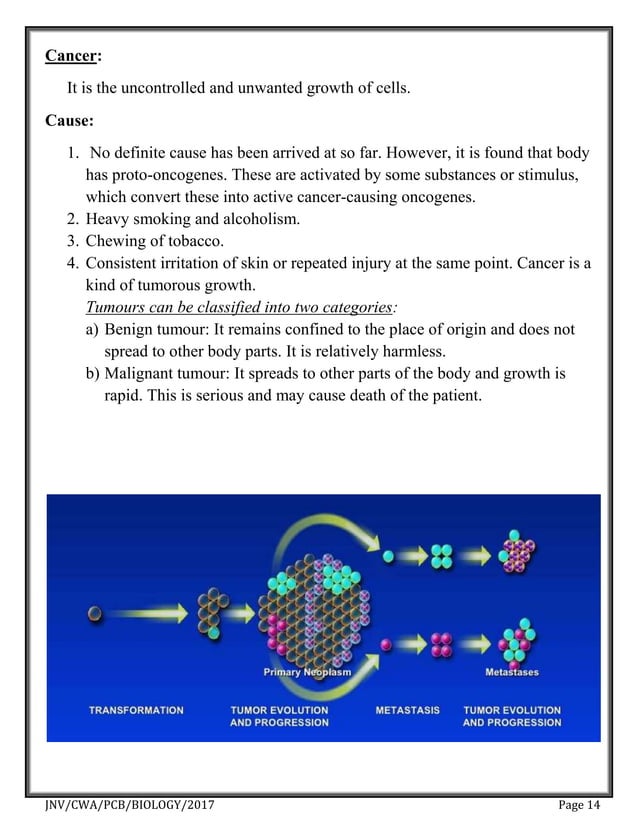 Xii biology project on common desease in human & causes and remedies ...