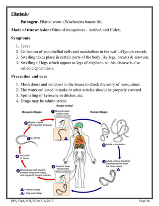 Xii biology project on common desease in human & causes and remedies | PDF