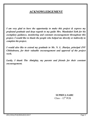 Xii biology project on common desease in human & causes and remedies | PDF