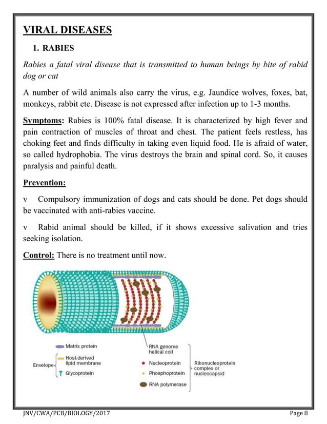 Xii biology project on common desease in human & causes and remedies ...