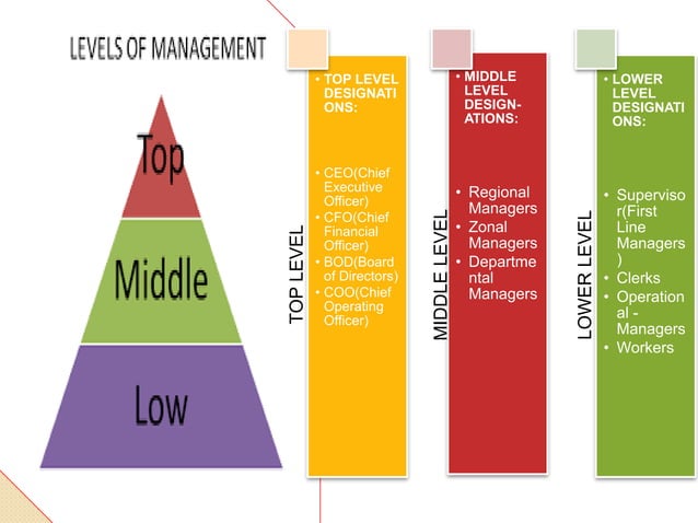 levels of management | PPT